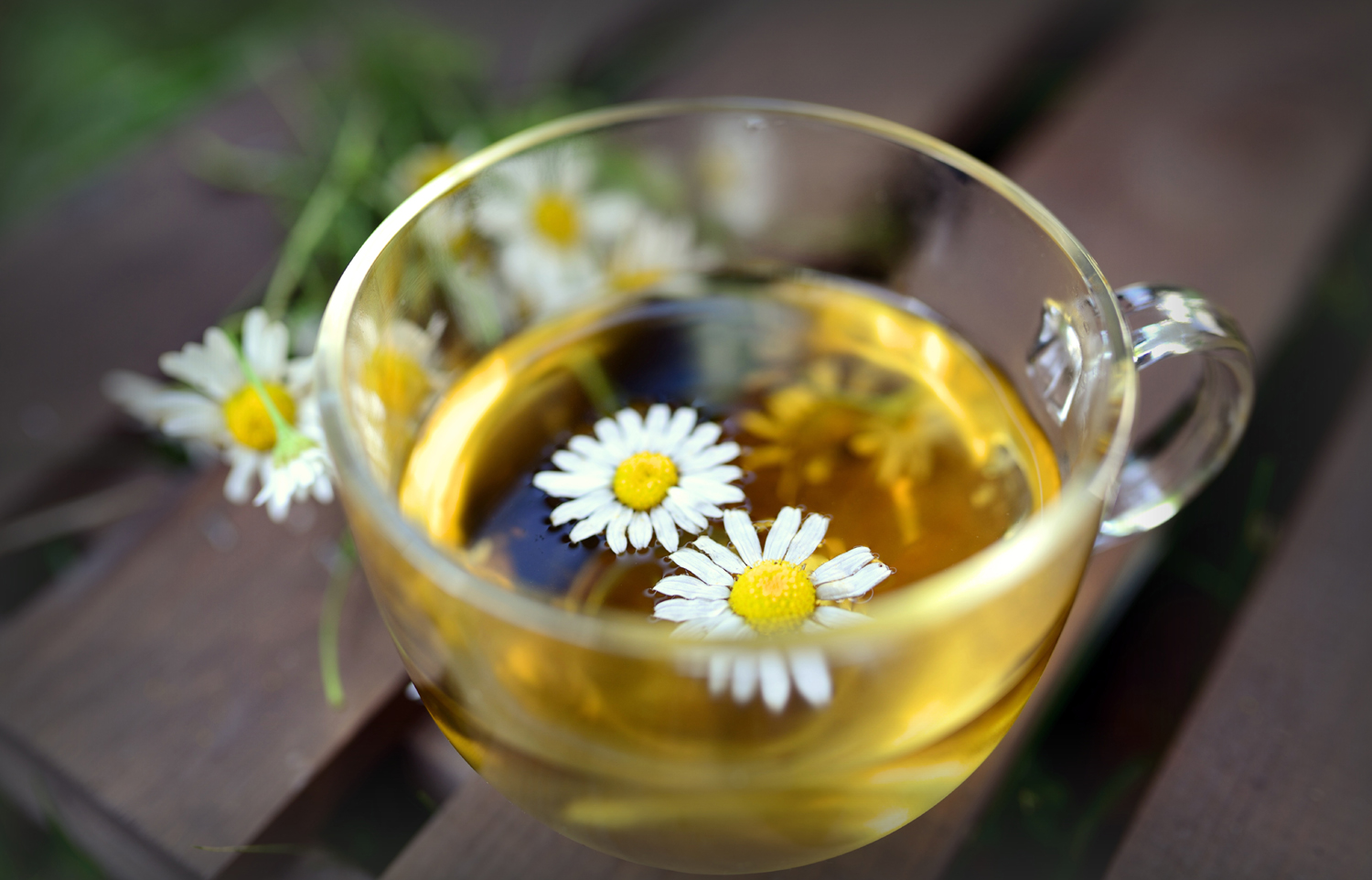 Anxious about your health? Chamomile tea can help with so much ...