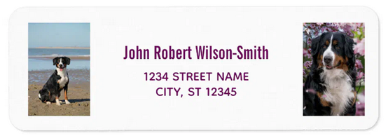 DIY Return Address Sticky Labels with Photos of Your Cat and Dog. Or ...