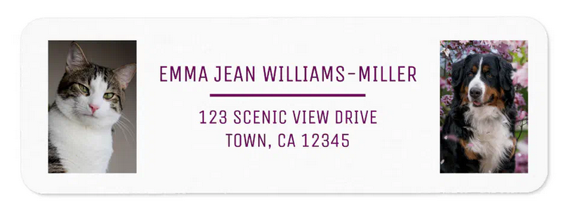 DIY Return Address Sticky Labels with Photos of Your Cat and Dog. Or ...